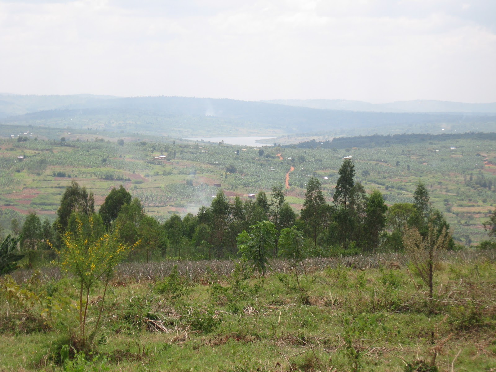 Stephen and Mary @ Rwanda: Rwanda from our eyes